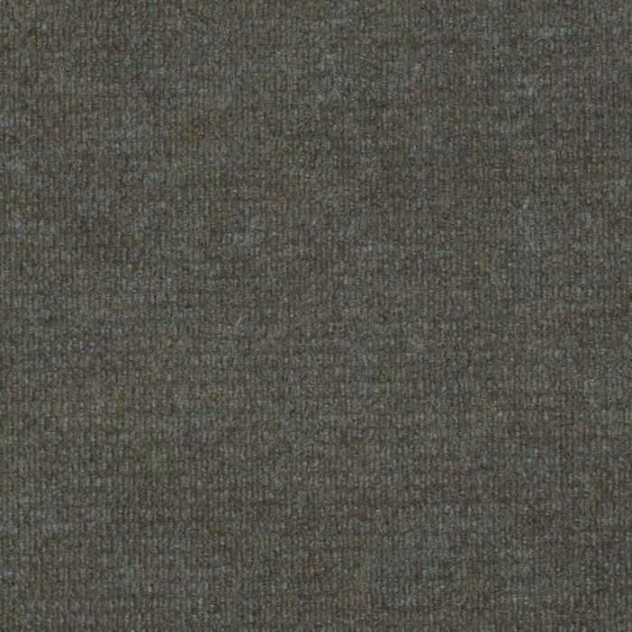 Bedecked 54689 - Indoor Outdoor Needlepunch Carpet | Shaw