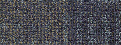 Index of /cambridge/infinity/