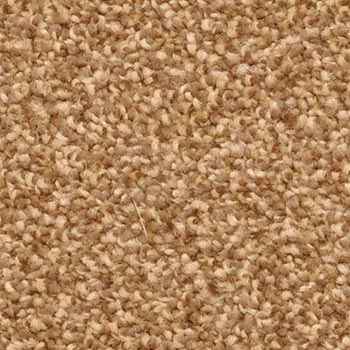 Heart's Content 2597 - Stainmaster | Dixie Home Carpets