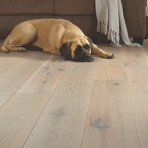 FH820 Exquisite - Engineered Hardwood | Shaw Floors